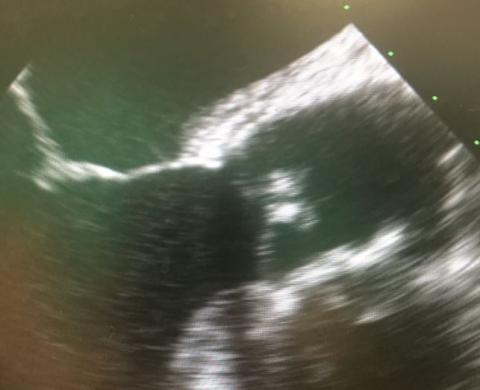 Benjamin Youdelman | CTSNet