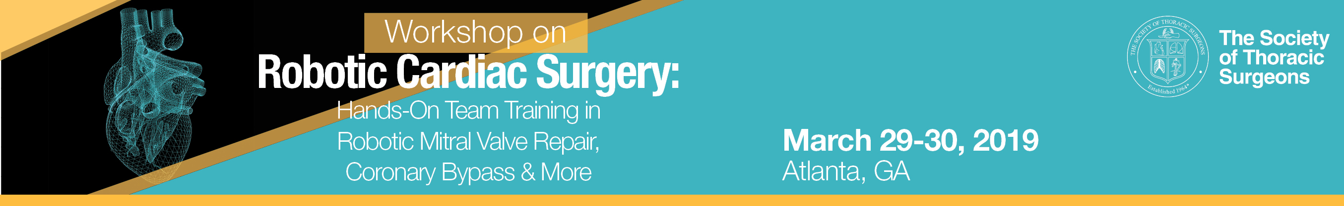 2019 Workshop on Robotic Cardiac Surgery | CTSNet